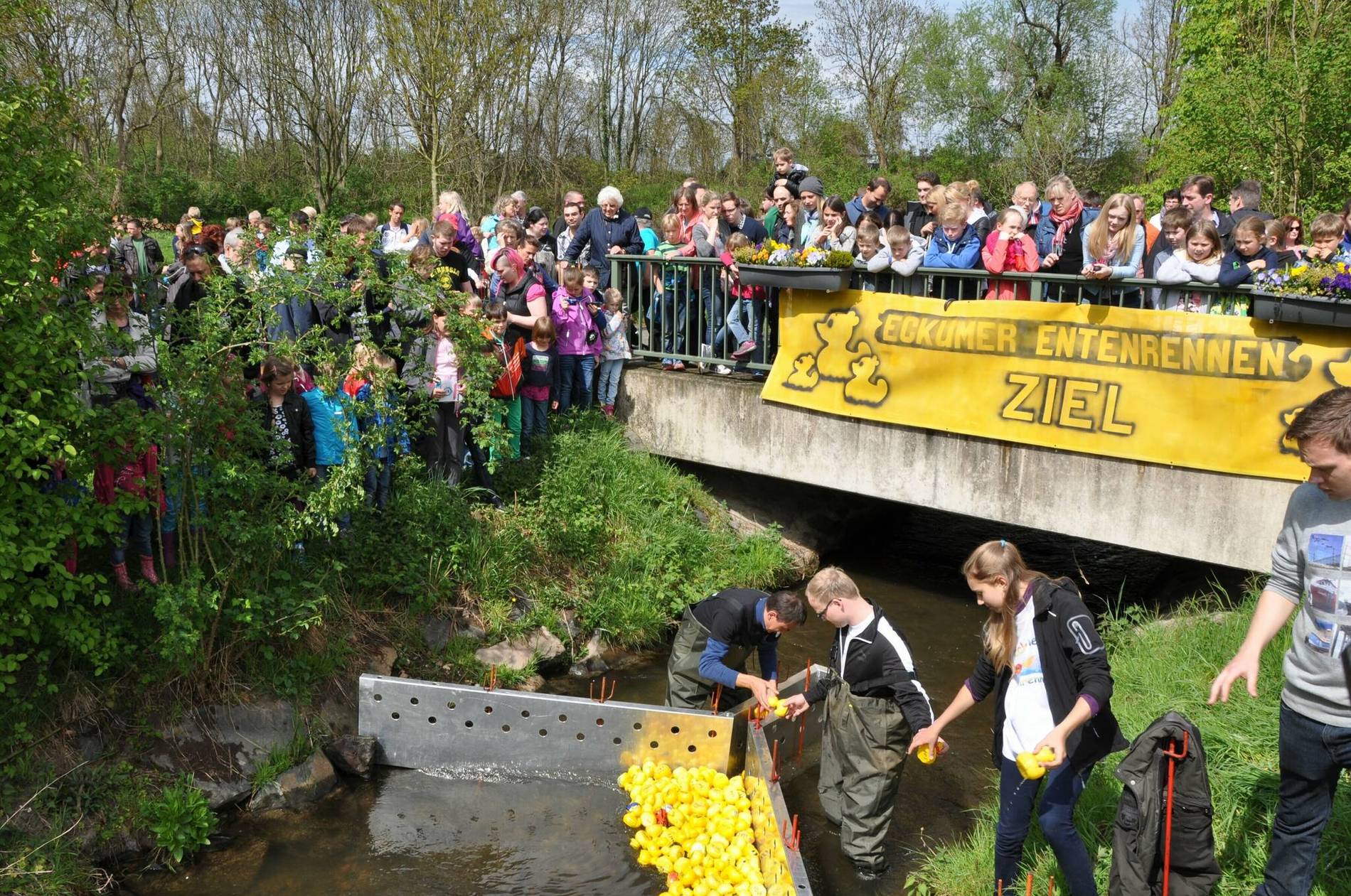 Die Enten dürfen wieder ins große Rennen geschickt werden