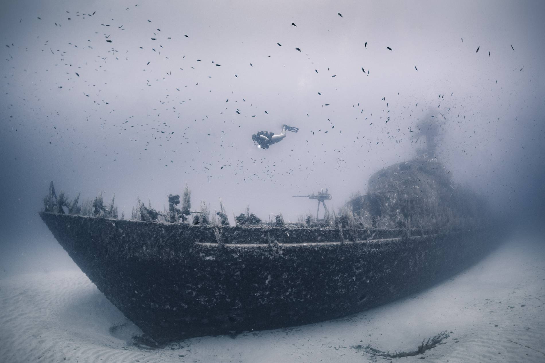 Arno Jansen: Tauchen rund um die Welt