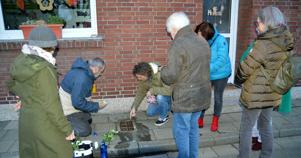 Rokis „Grüne“ laden ein: Gedenkspaziergang mit Reinigung der ...